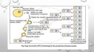 RECOMBINANT DNA TECHNOLOGY.pptx