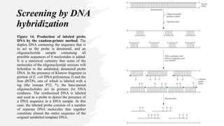 Recombinant DNA Technology.pptx