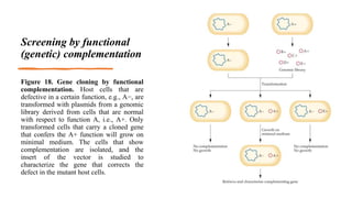 Recombinant DNA Technology.pptx