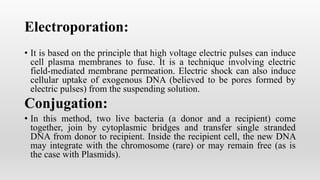 RECOMBINANT DNA TECHNOLOGY PRESENTATIONS | PPTX