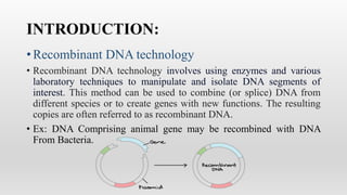 RECOMBINANT DNA TECHNOLOGY PRESENTATIONS | PPTX