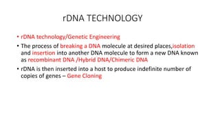 RECOMBINANT DNA TECHNOLOGY biochemistry lecture | PPTX