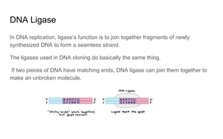 Recombinant DNA Technology- Part 1.pdf