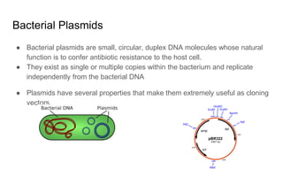 Recombinant DNA Technology- Part 1.pdf
