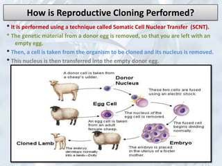 Recombinant Dna Animals