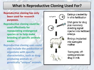 Recombinant Dna Animals