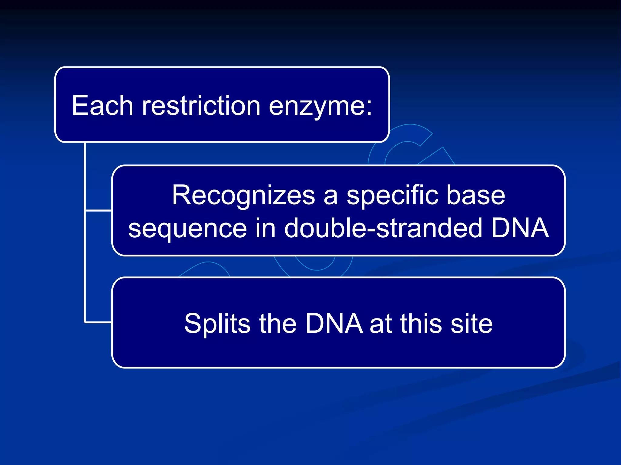 Recombinant dna technology tools and techniques | PPTX