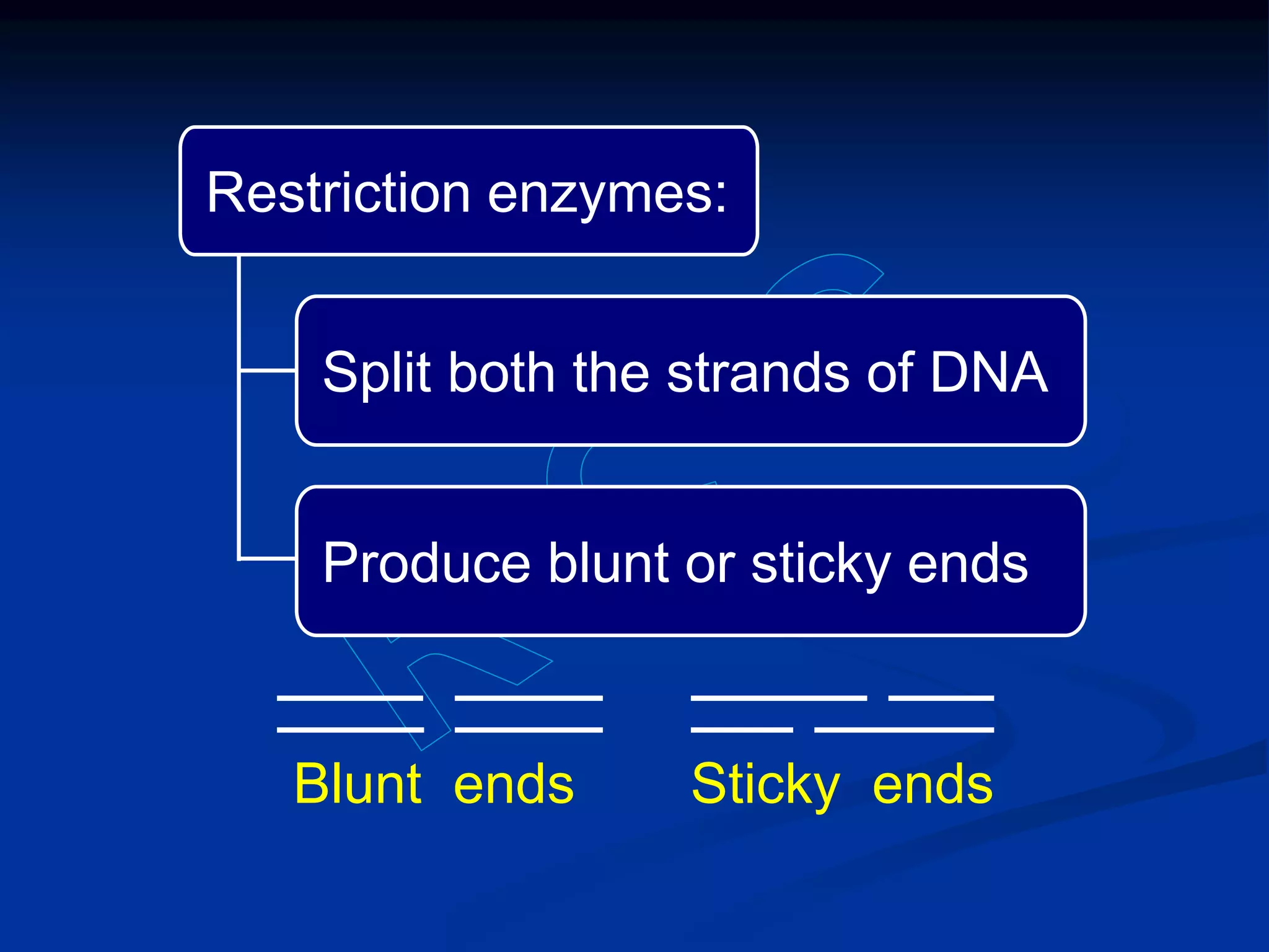 Recombinant dna technology tools and techniques | PPTX
