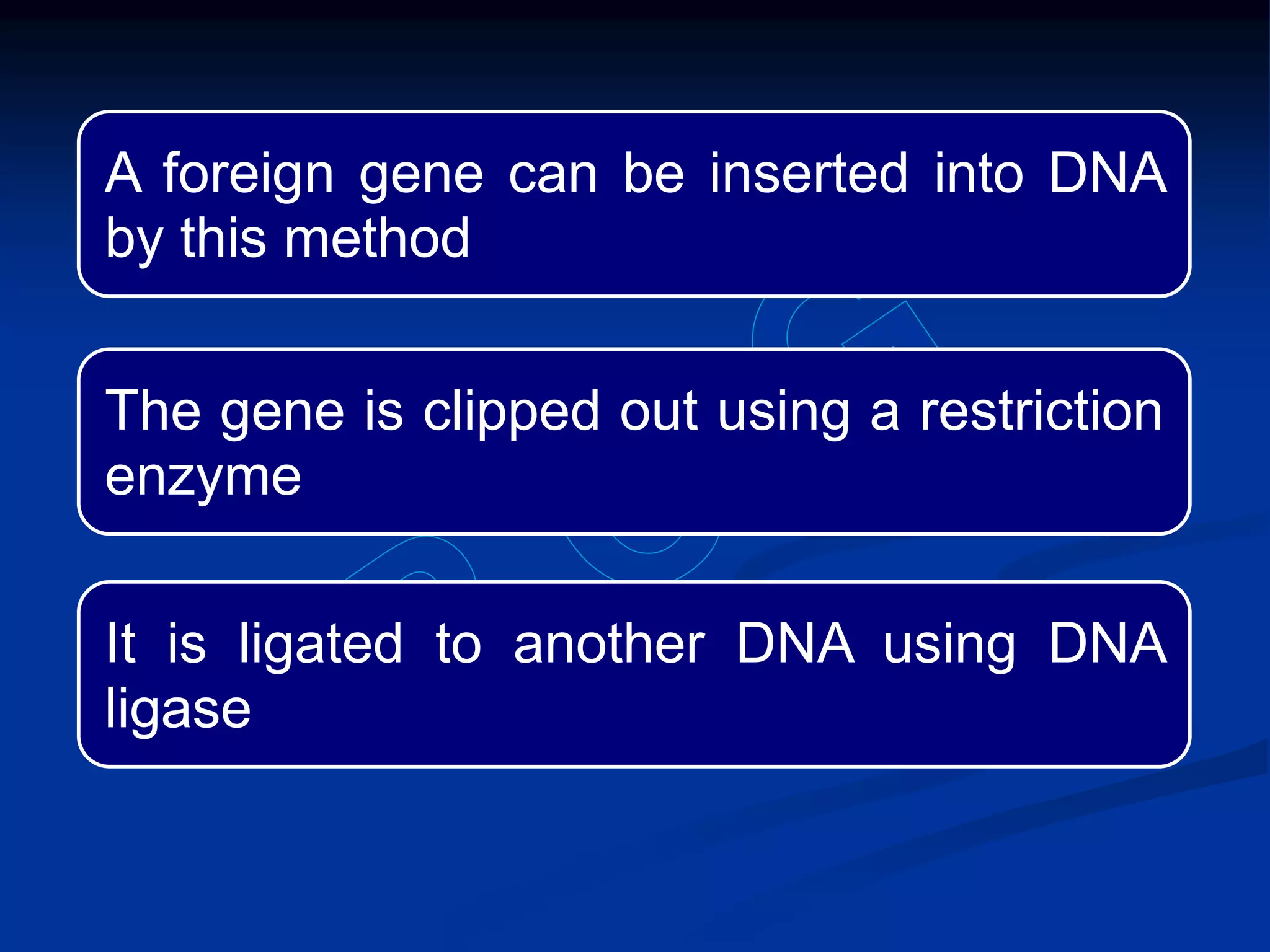 Recombinant Dna Technology Tools And Techniques Pptx