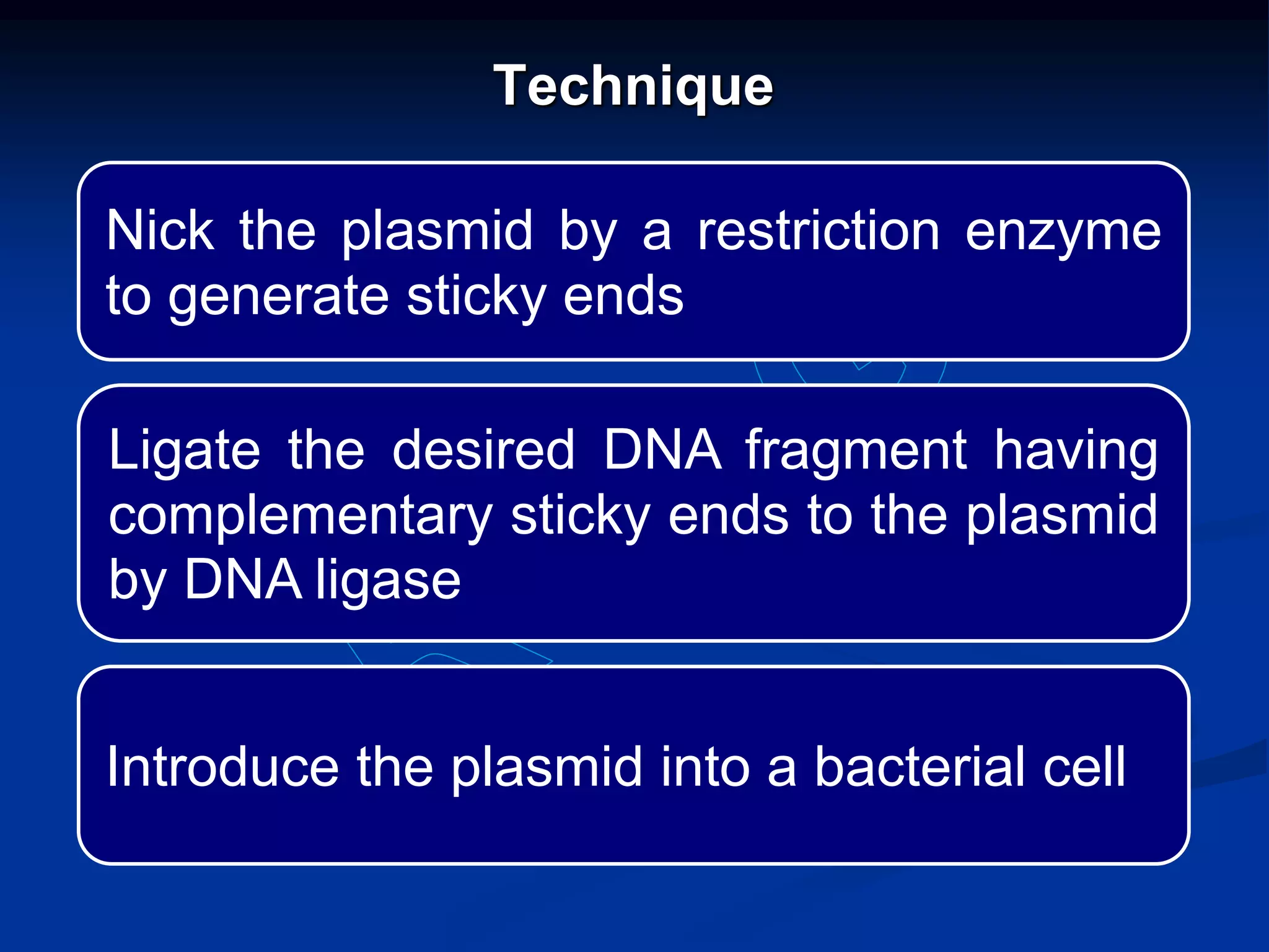 Recombinant dna technology tools and techniques | PPTX
