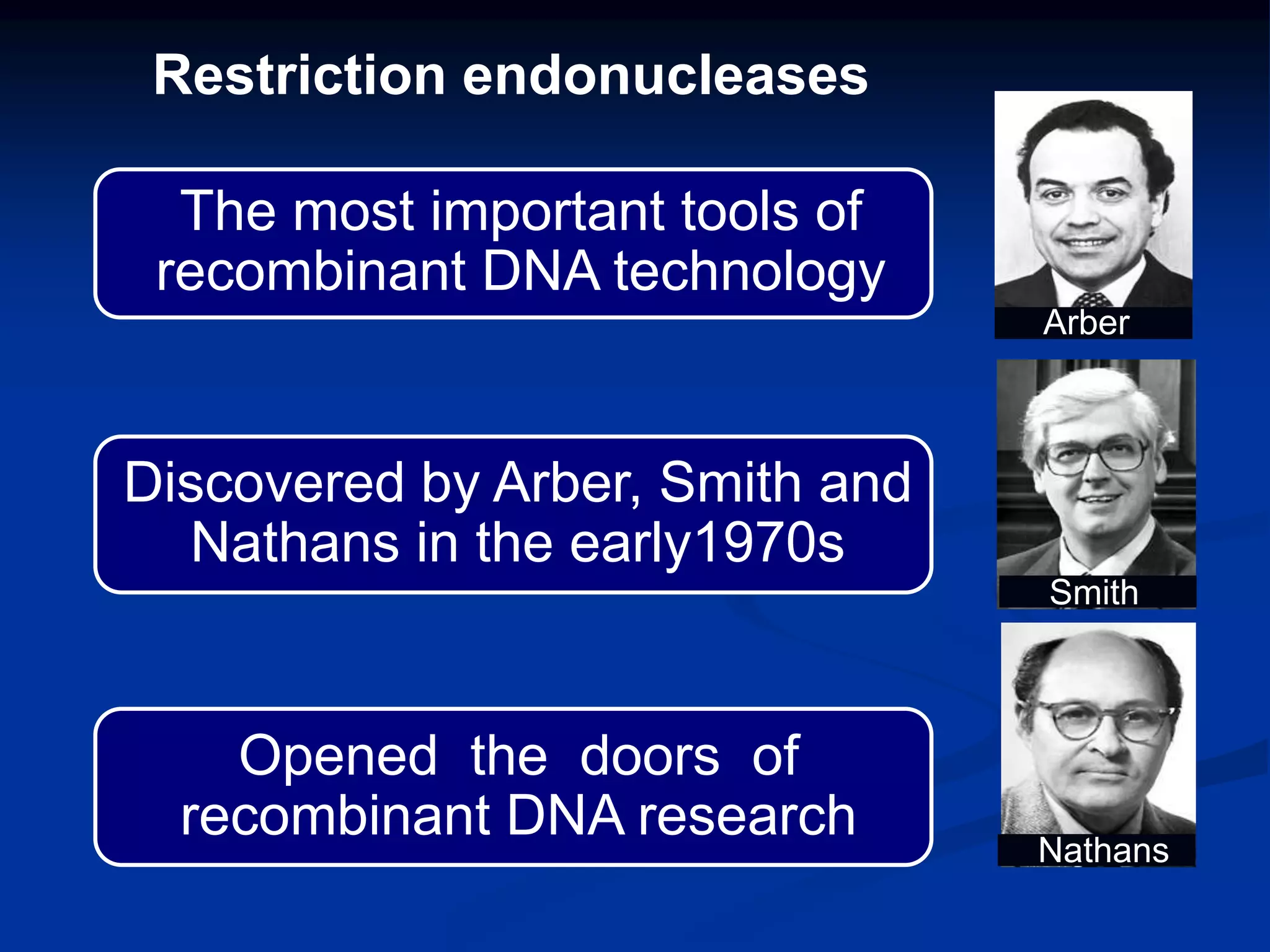 Recombinant dna technology tools and techniques | PPTX