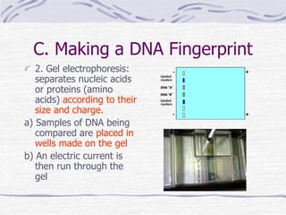recombinant_dna_technology1.ppt