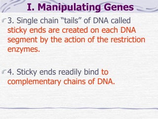 recombinant_dna_technology1.ppt