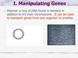 recombinant_dna_technology1.ppt