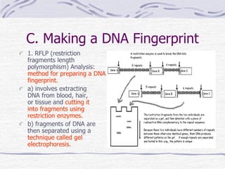 recombinant_dna_technology for gene improvement | PPT