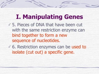 recombinant_dna_technology for gene improvement | PPT