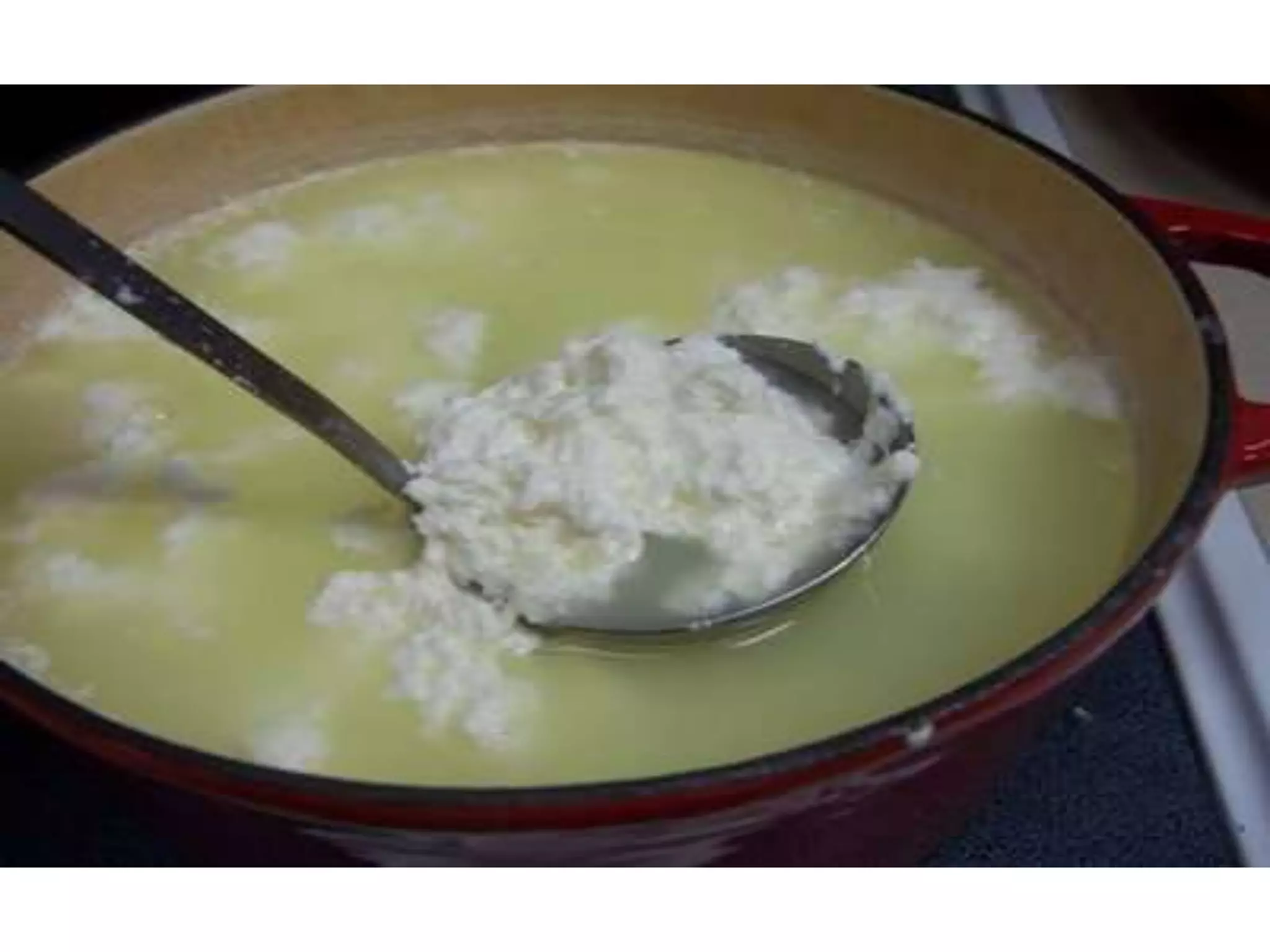 Recombinant dna technology for food uses | PPTX