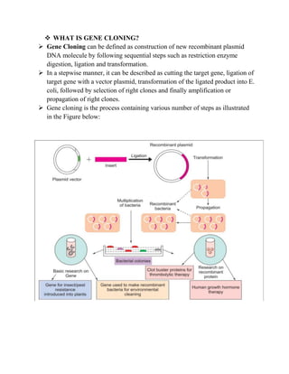 Recombinant dna technology introduction | PDF