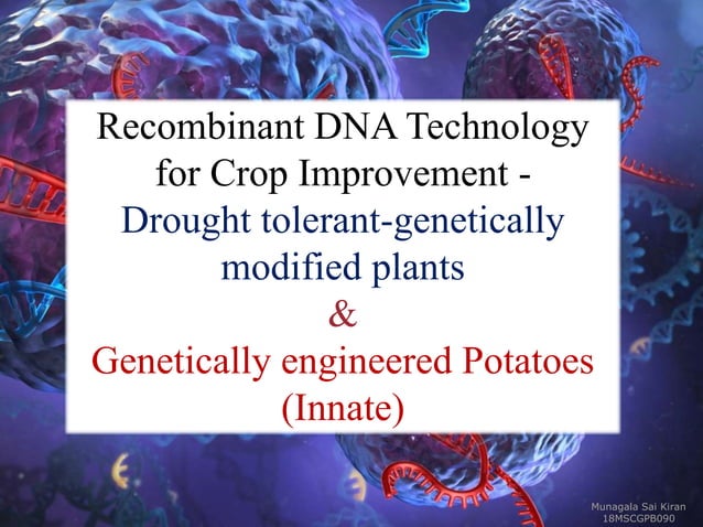 Recombinant DNA technology for Crop improvement | PPTX