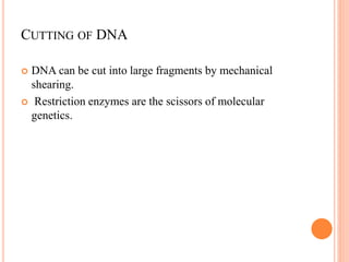 Recombinant dna technology orig | PDF