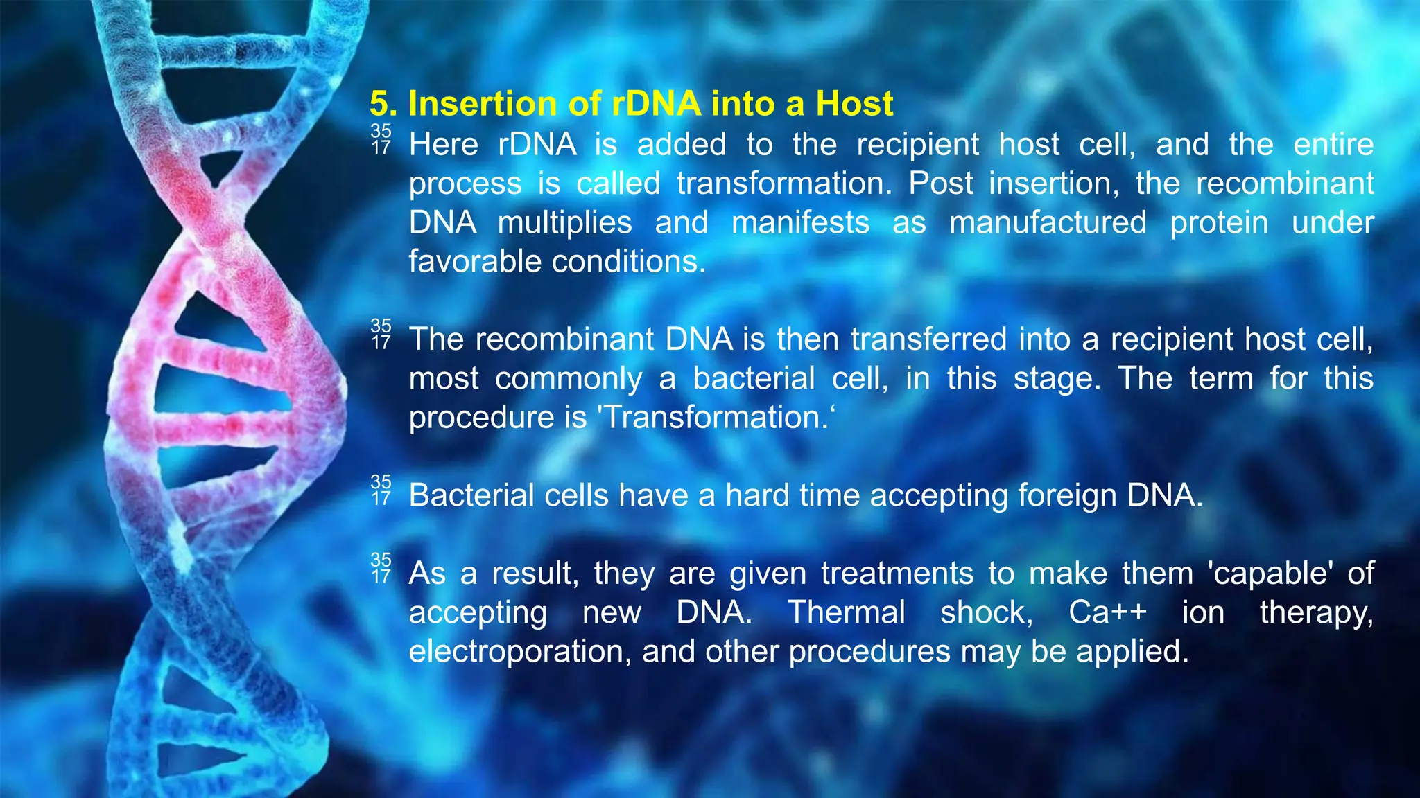 Plant Biotechnology Recombinant DNA Technology ppt.pptx