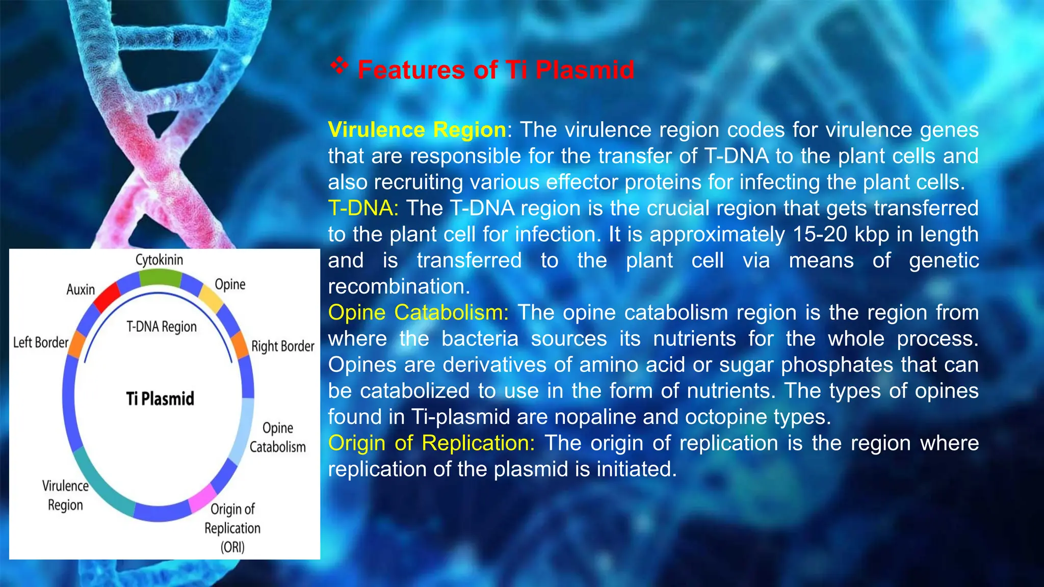 Plant Biotechnology Recombinant DNA Technology ppt.pptx
