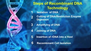 Plant Biotechnology Recombinant DNA Technology ppt.pptx