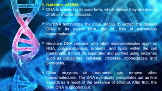 Plant Biotechnology Recombinant DNA Technology ppt.pptx
