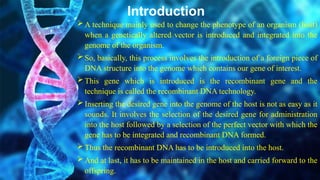 Plant Biotechnology Recombinant DNA Technology ppt.pptx