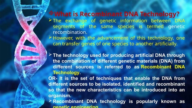 Plant Biotechnology Recombinant DNA Technology ppt.pptx | Biotech and Biomedical Industry ...