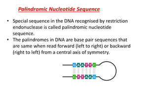 Recombinant DNA Technology | PPT