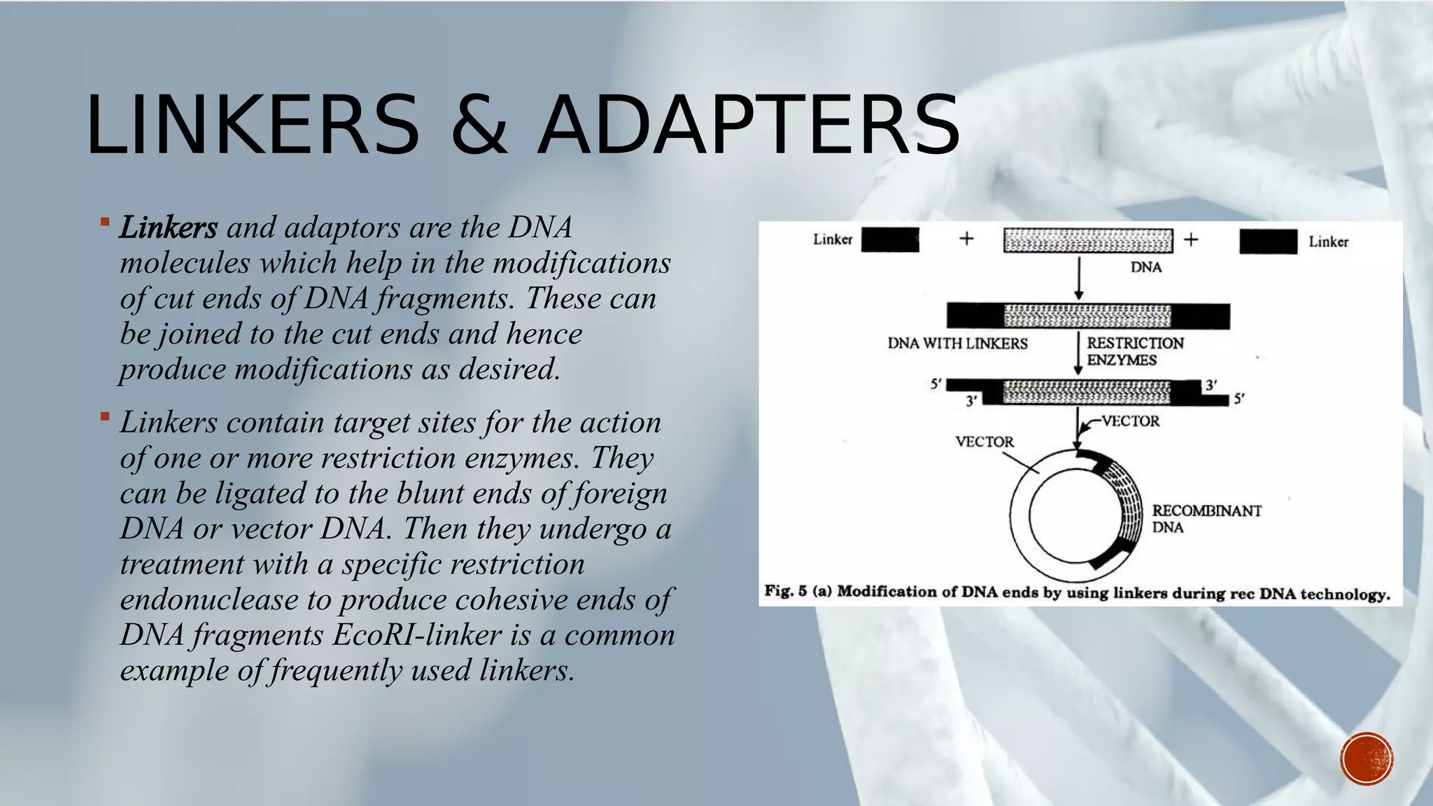Recombinant dna technology (rdt) | PDF