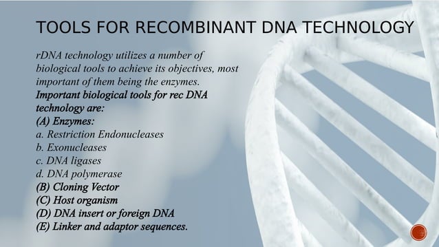 Recombinant dna technology (rdt) | PDF