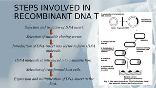 Recombinant dna technology (rdt) | PDF
