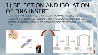 Recombinant dna technology (rdt) | PDF