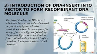 Recombinant dna technology (rdt) | PDF