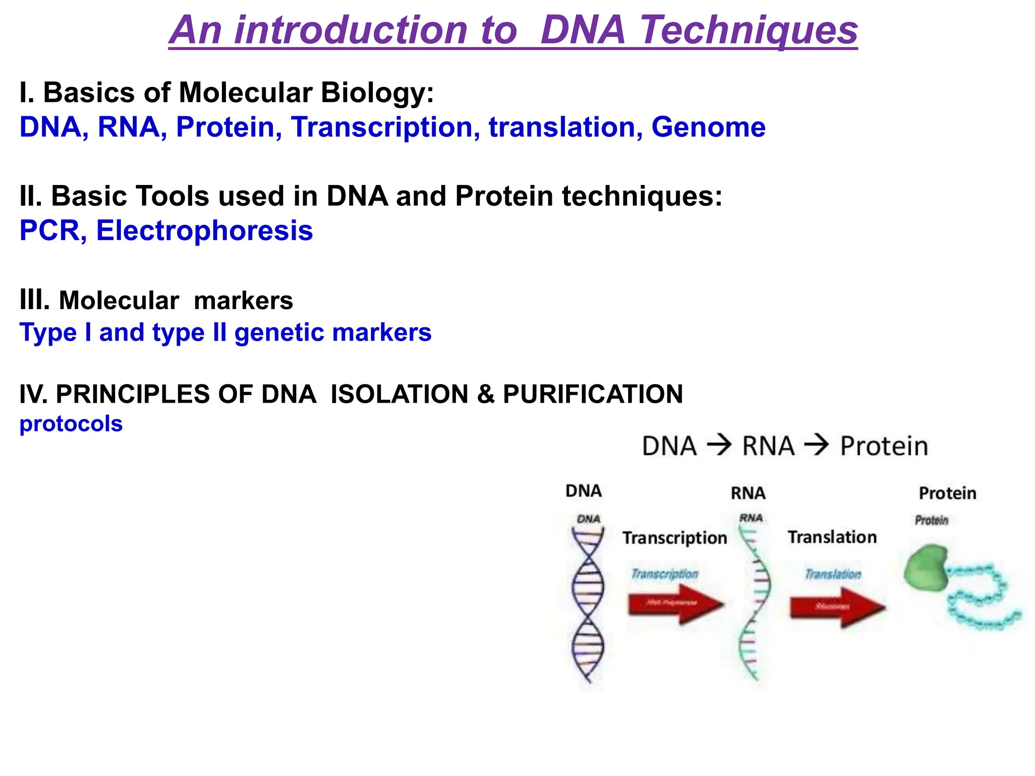 RECOMBINANT DNA TECNOLOGY AND PROTEIN.ppt