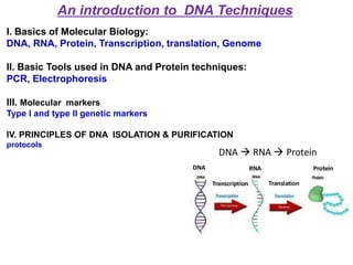 RECOMBINANT DNA TECNOLOGY AND PROTEIN.ppt