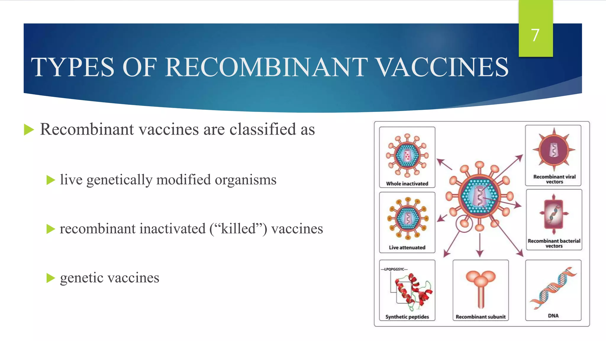 Recombinant dna vaccines | PPT