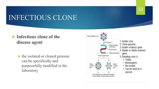 Recombinant dna vaccines | PPTX