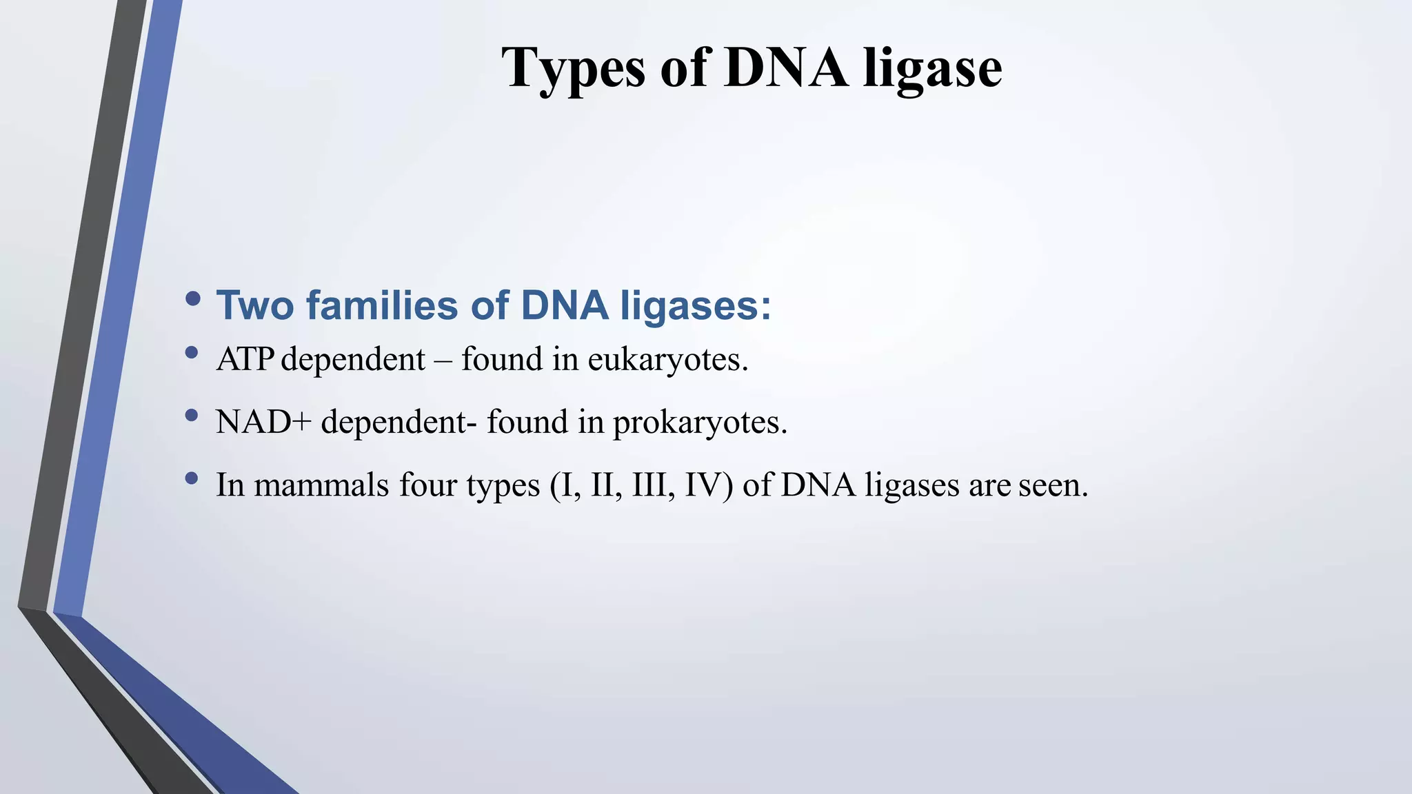 recombinant DNA tech enzymes | PPTX