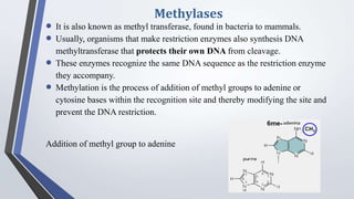 Recombinant enzymes | PPTX