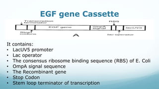 Recombinant growth factors | PPTX