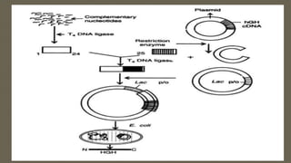 Recombinant growth hormone | PPTX