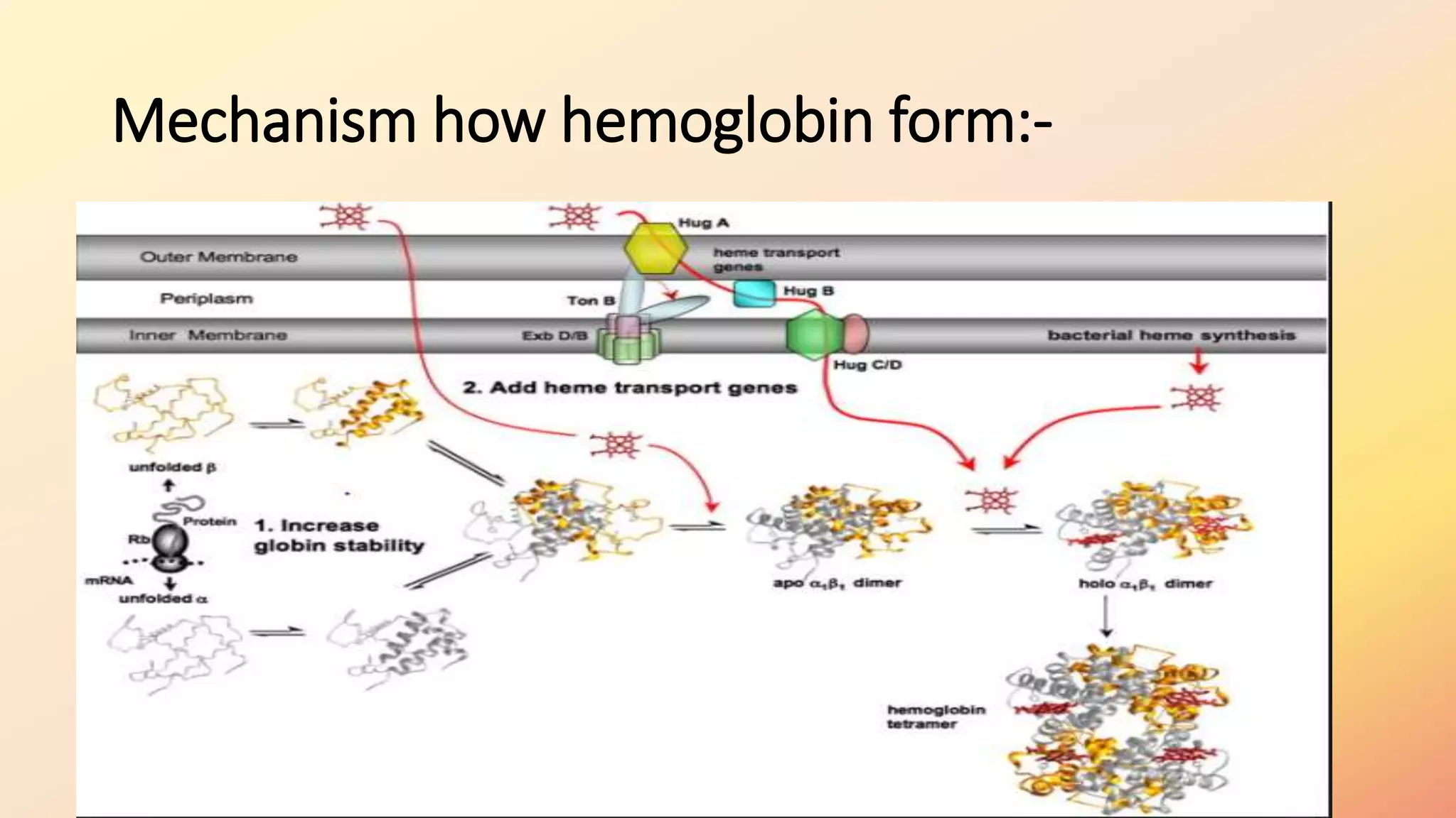 Recombinant hemoglobin | PPTX