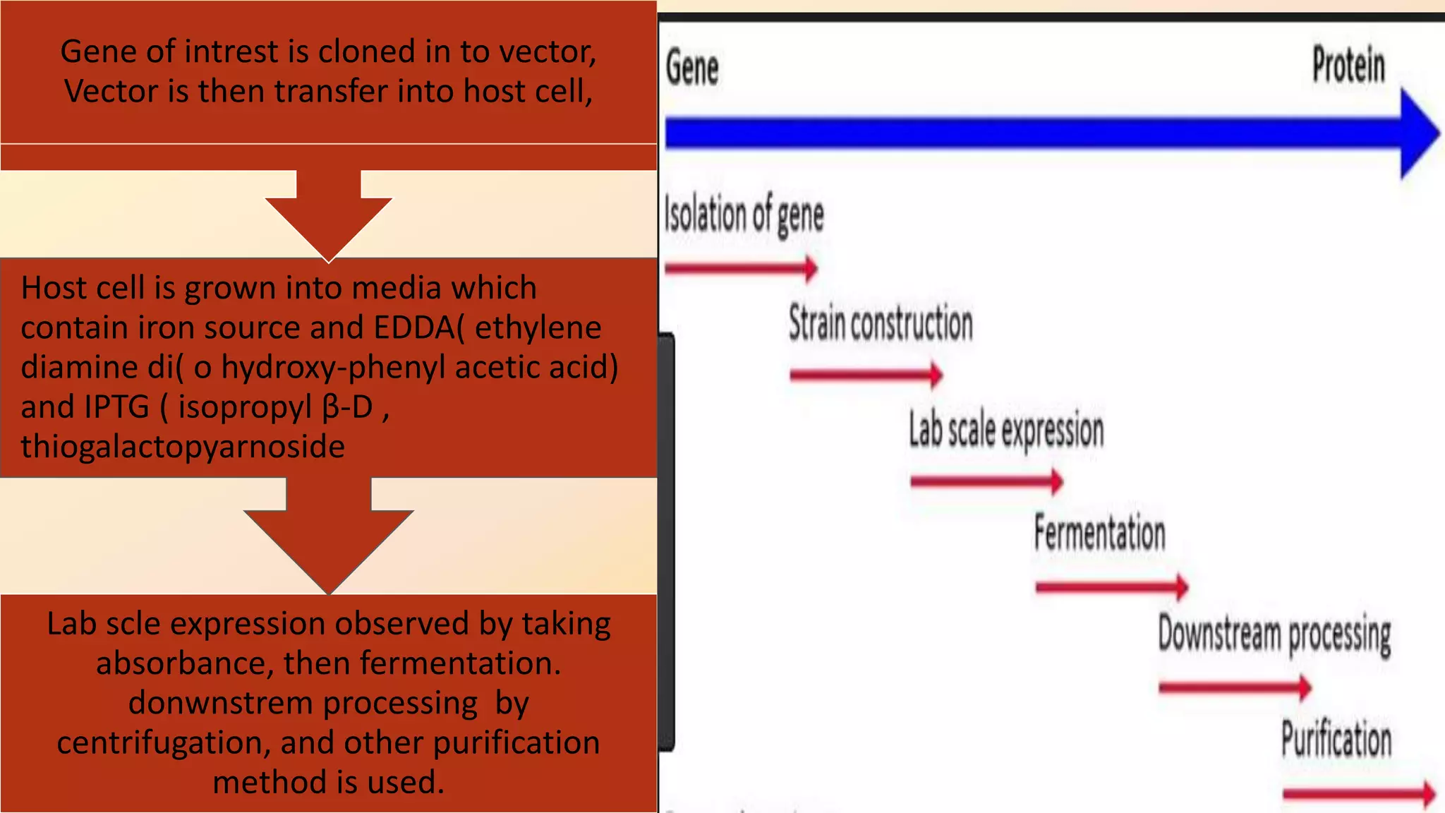 Recombinant hemoglobin | PPTX
