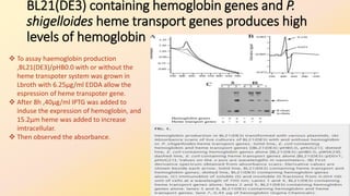 Recombinant hemoglobin | PPTX