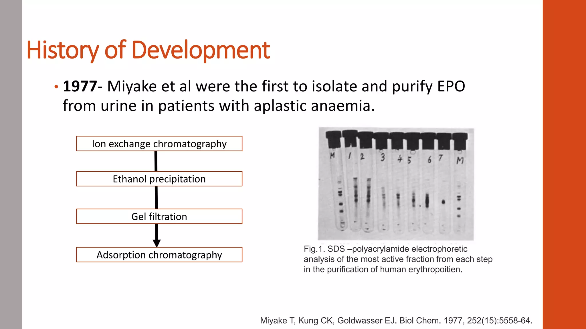 Recombinant human erythropoietin | PPTX