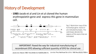 Recombinant human erythropoietin | PPTX