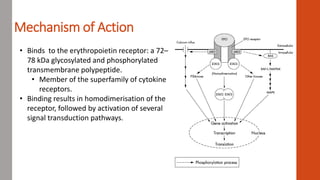 Recombinant human erythropoietin | PPTX